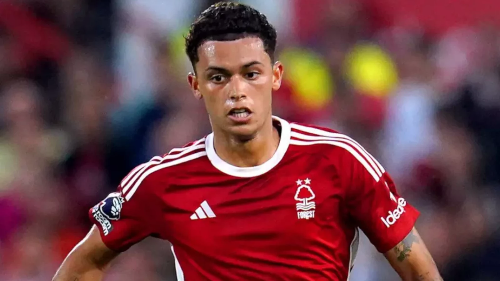 Brennan Johnson has the potential to reach 'highest of levels' – Neco ...