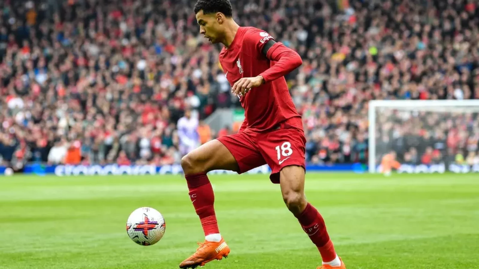 Liverpool's Cody Gakpo wants the Reds to move on from Leeds win soon ...