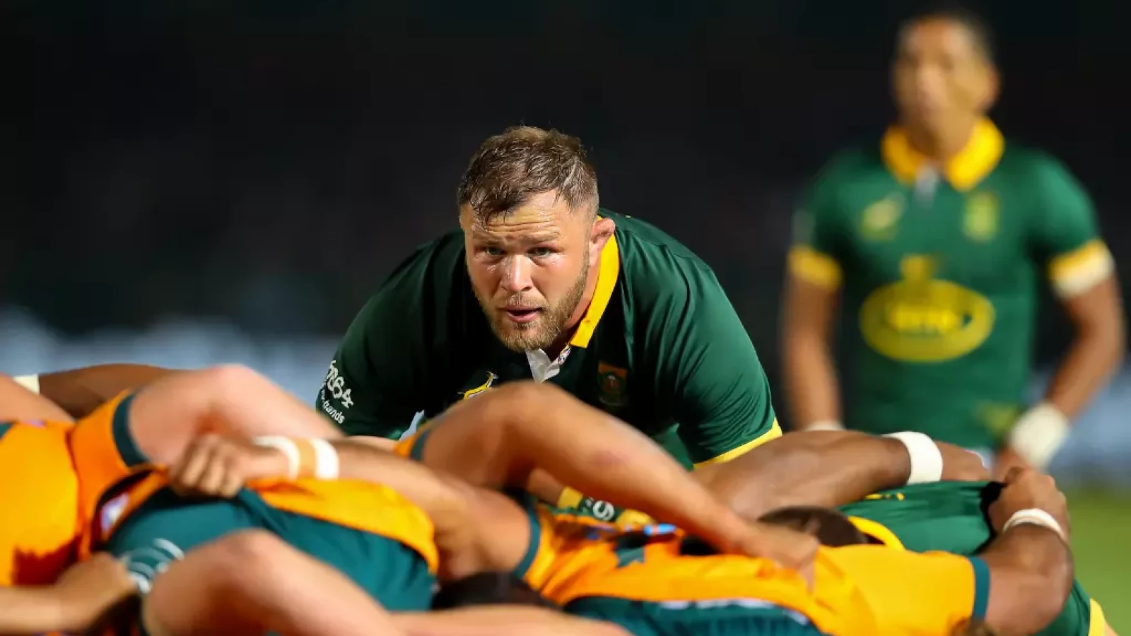 Springboks look ahead to titanic All Blacks battle | rugby