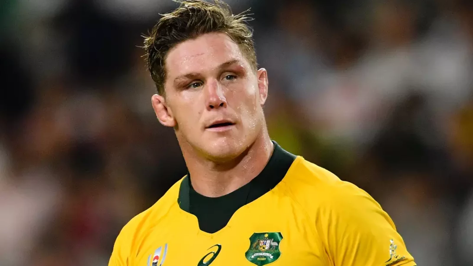 Former Wallabies continue to weigh in on hiring of Kiwi coach Joe ...