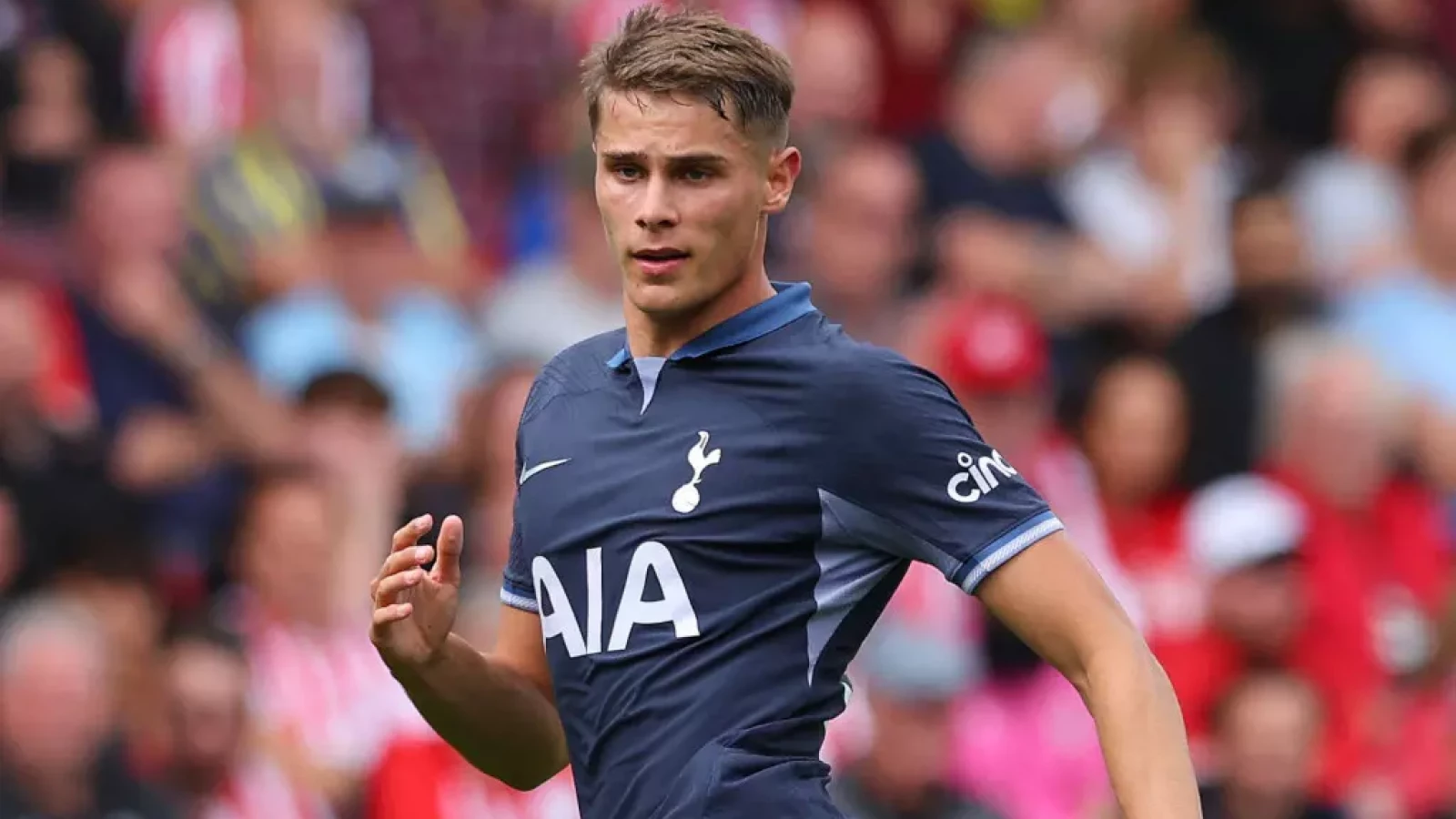 Micky van de Ven supports Tottenham boss Ange Postecoglou's attacking ...