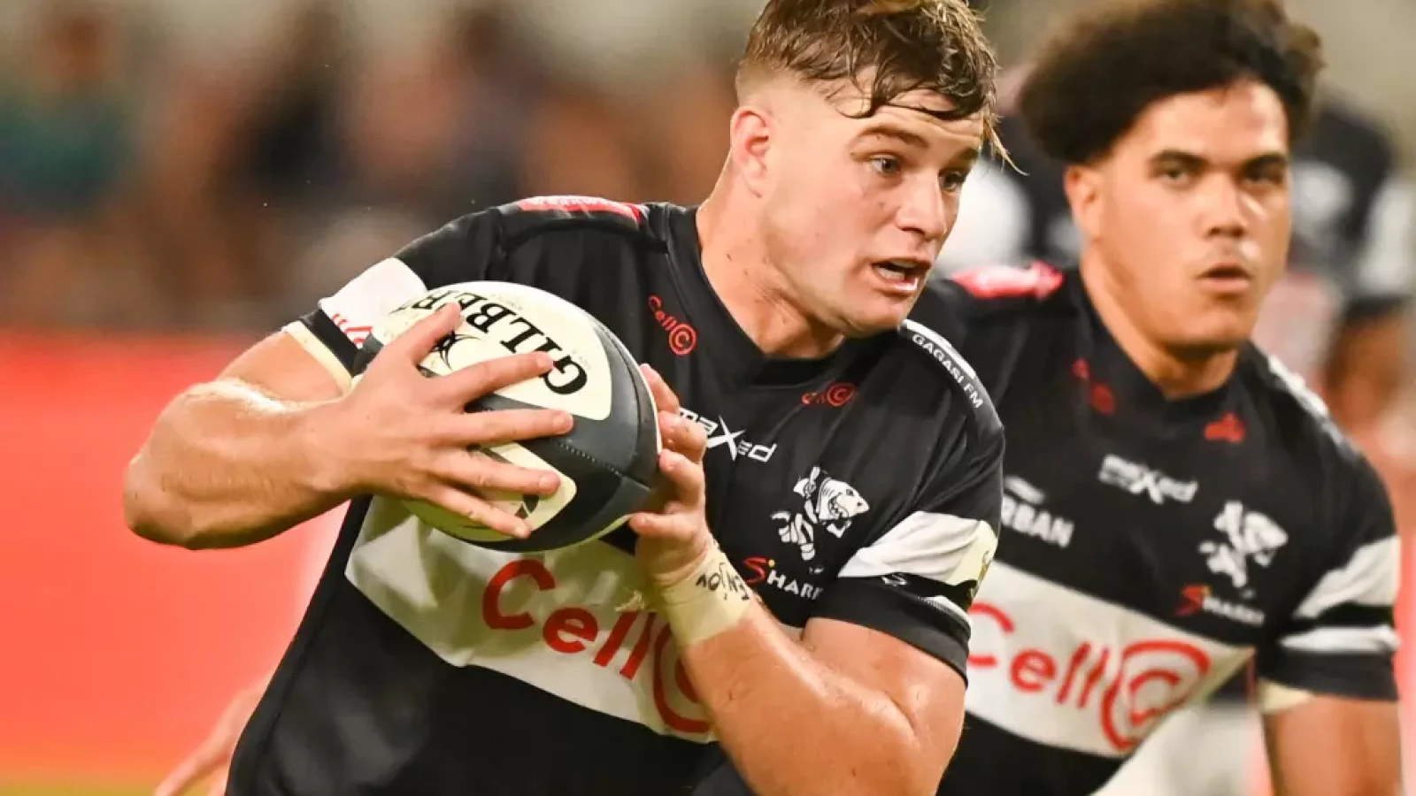 Currie Cup: Sharks overpower Bulls as Cheetahs edge out Western ...