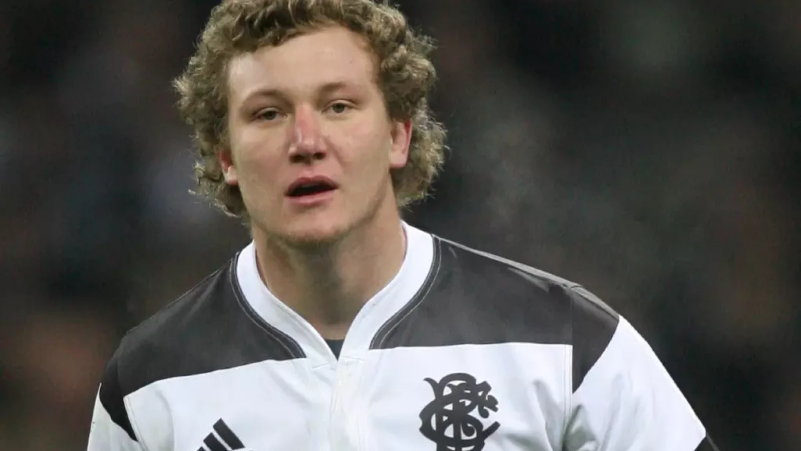 Former Stormers and Bristol back-rower Nick Koster dies aged 34 | rugby