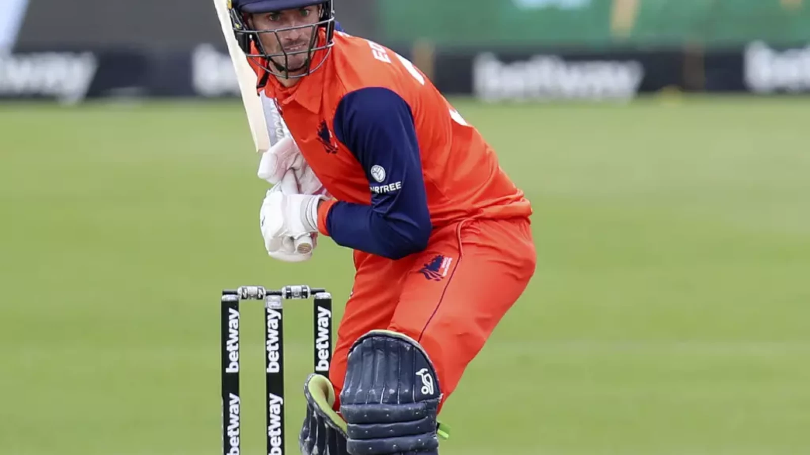 Cricket World Cup: Netherlands get second victory after beating ...
