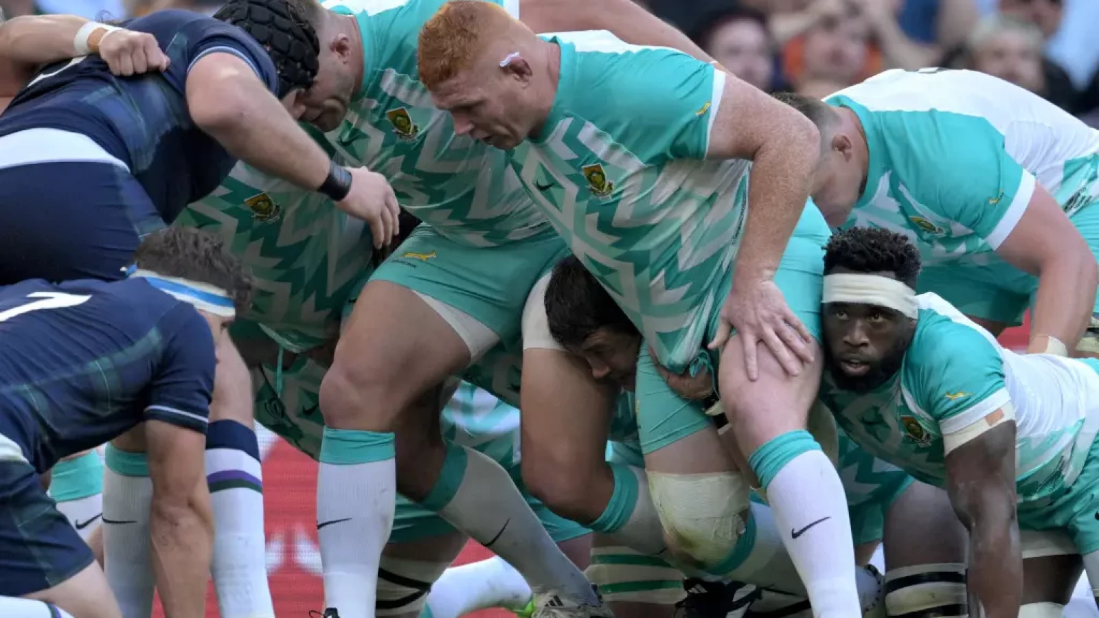 Nienaber hails Springboks' successful first step at 2023 Rugby World ...