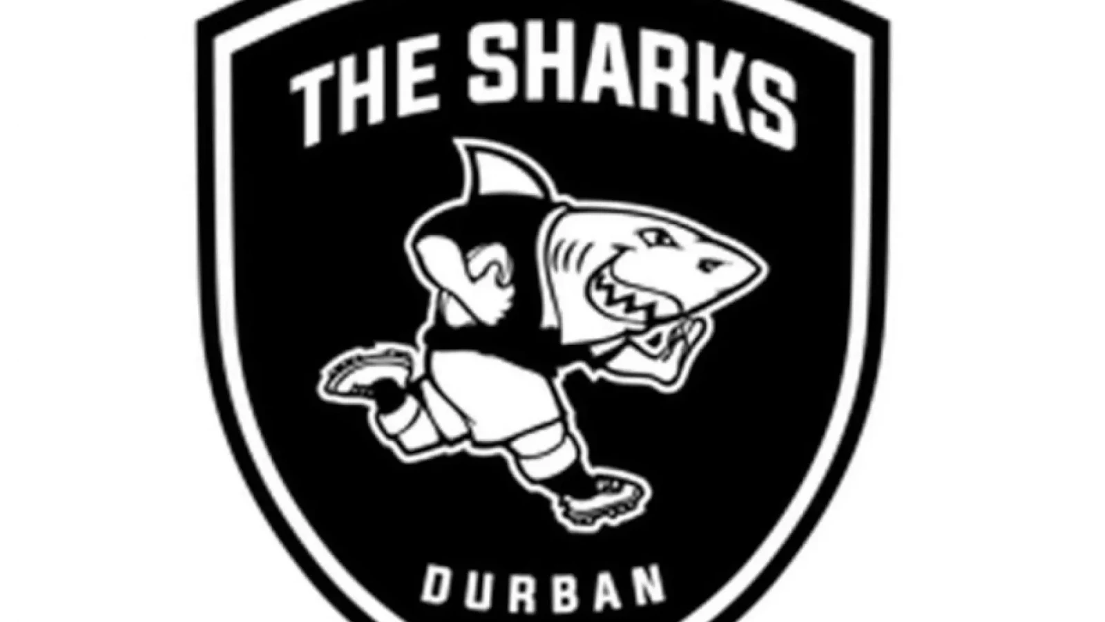 'Fear the Fin' - Sharks unveil new logo as part of rebranding | rugby