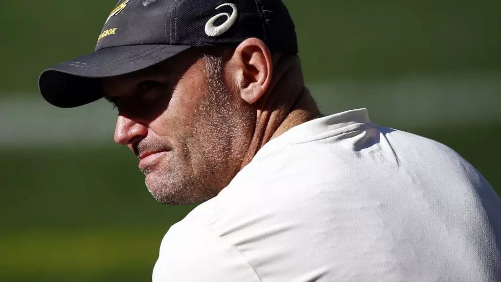 Jacques Nienaber exit no crisis, says SA Rugby | rugby