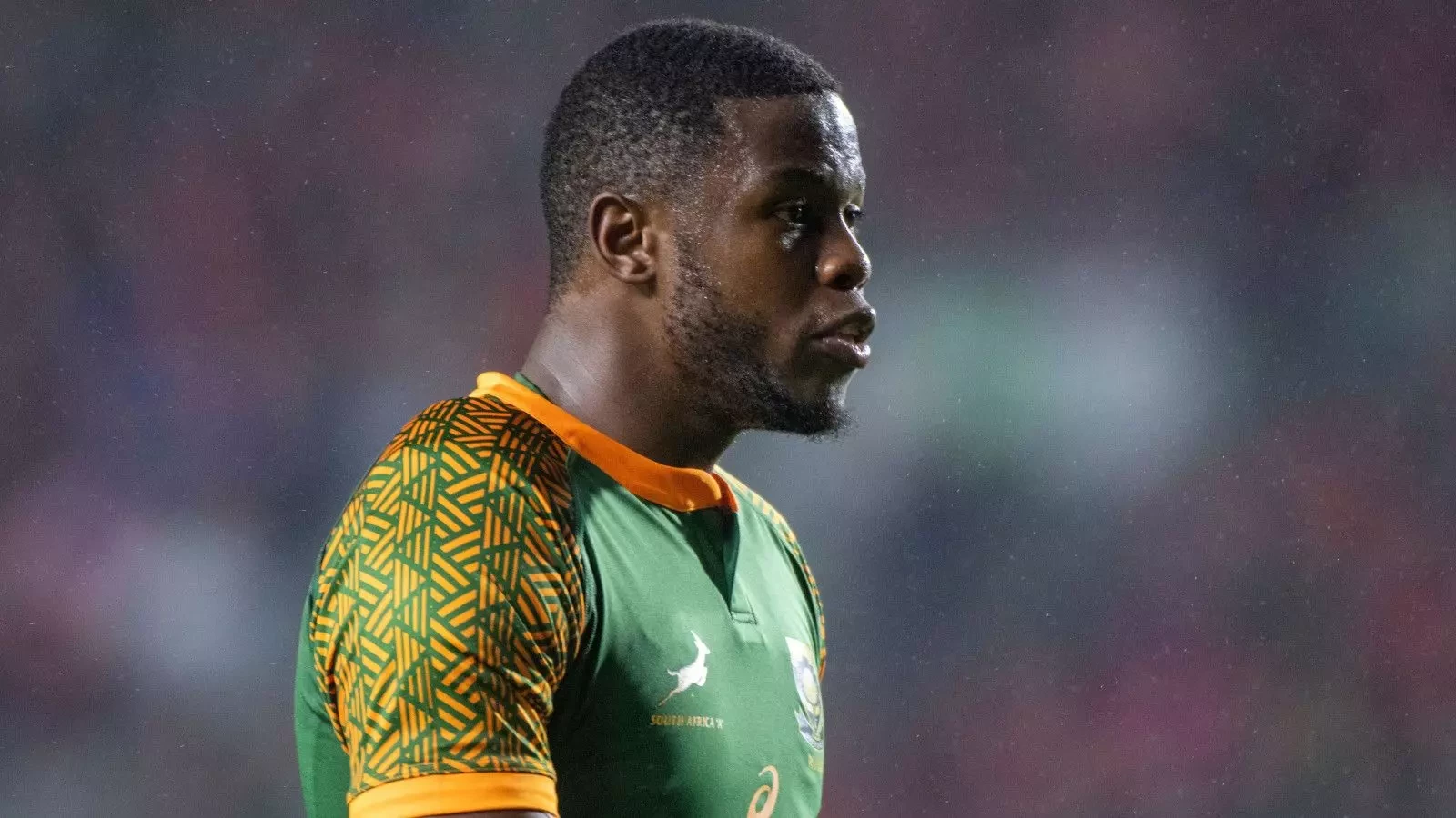 Rassie Erasmus to give Aphelele Fassi a fresh start with Springboks | rugby