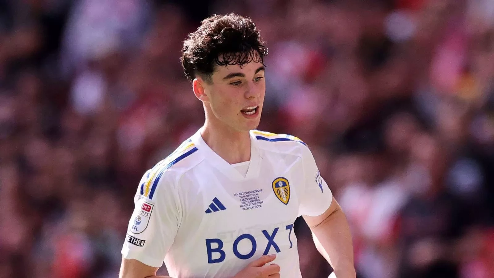 Tottenham secure Archie Gray as Joe Rodon reunites with Leeds | soccer