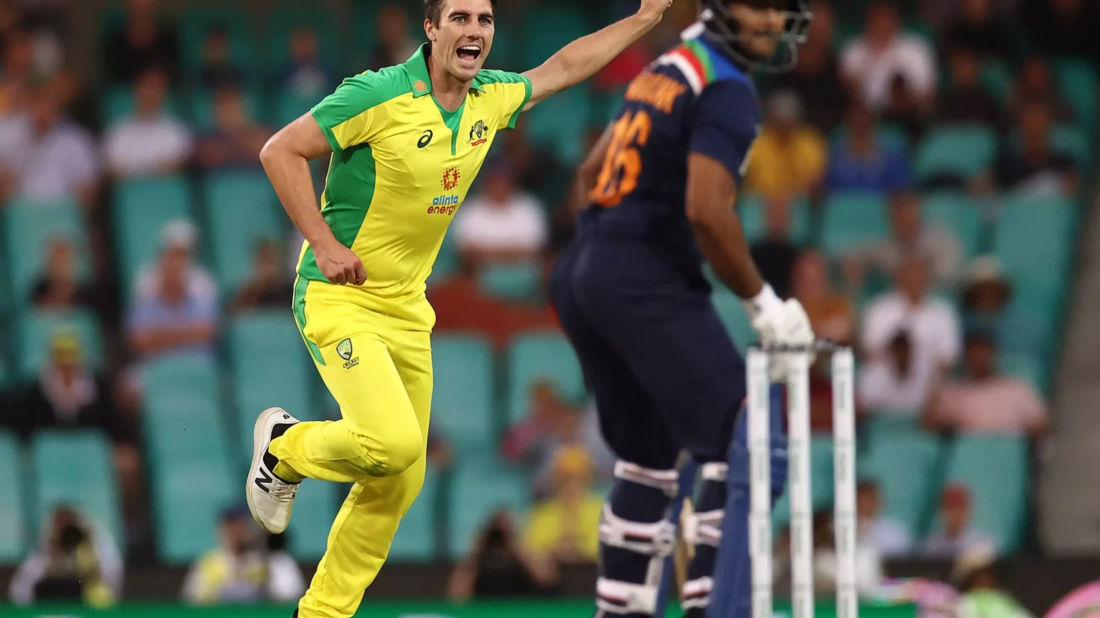 Australia's Pat Cummins pulls out of 2023 IPL to rest ahead of Ashes and World Cup | cricket