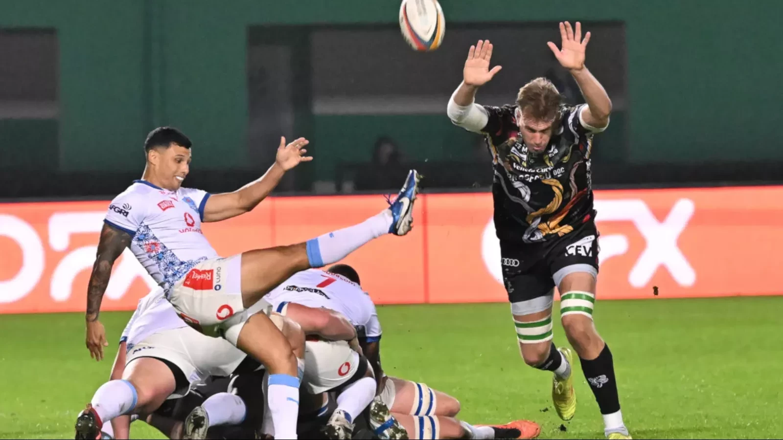 URC: Bulls overcome illness in the camp to beat Benetton at the death ...