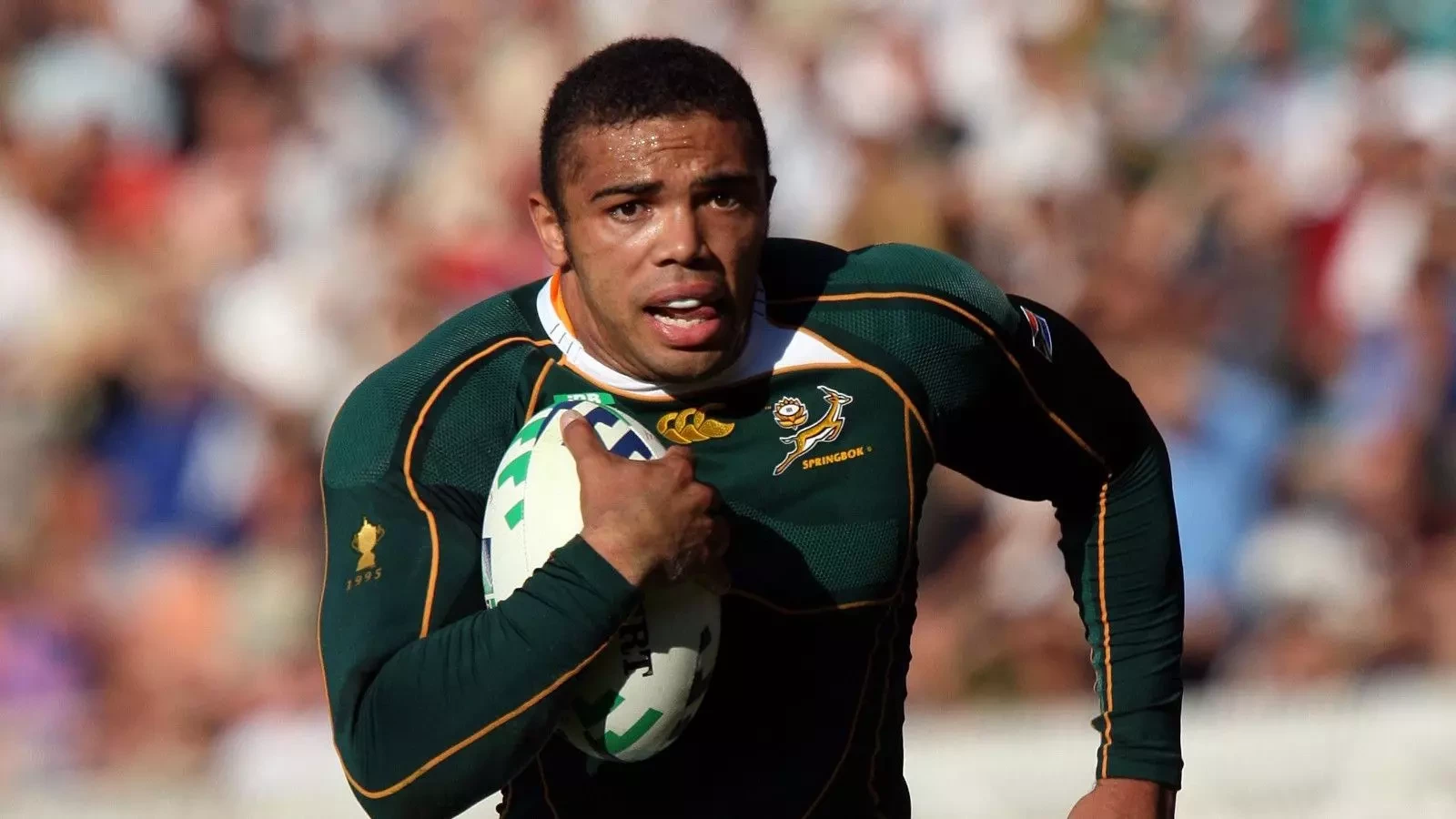 Great Bok moments: A look back at Bryan Habana's best tries | rugby