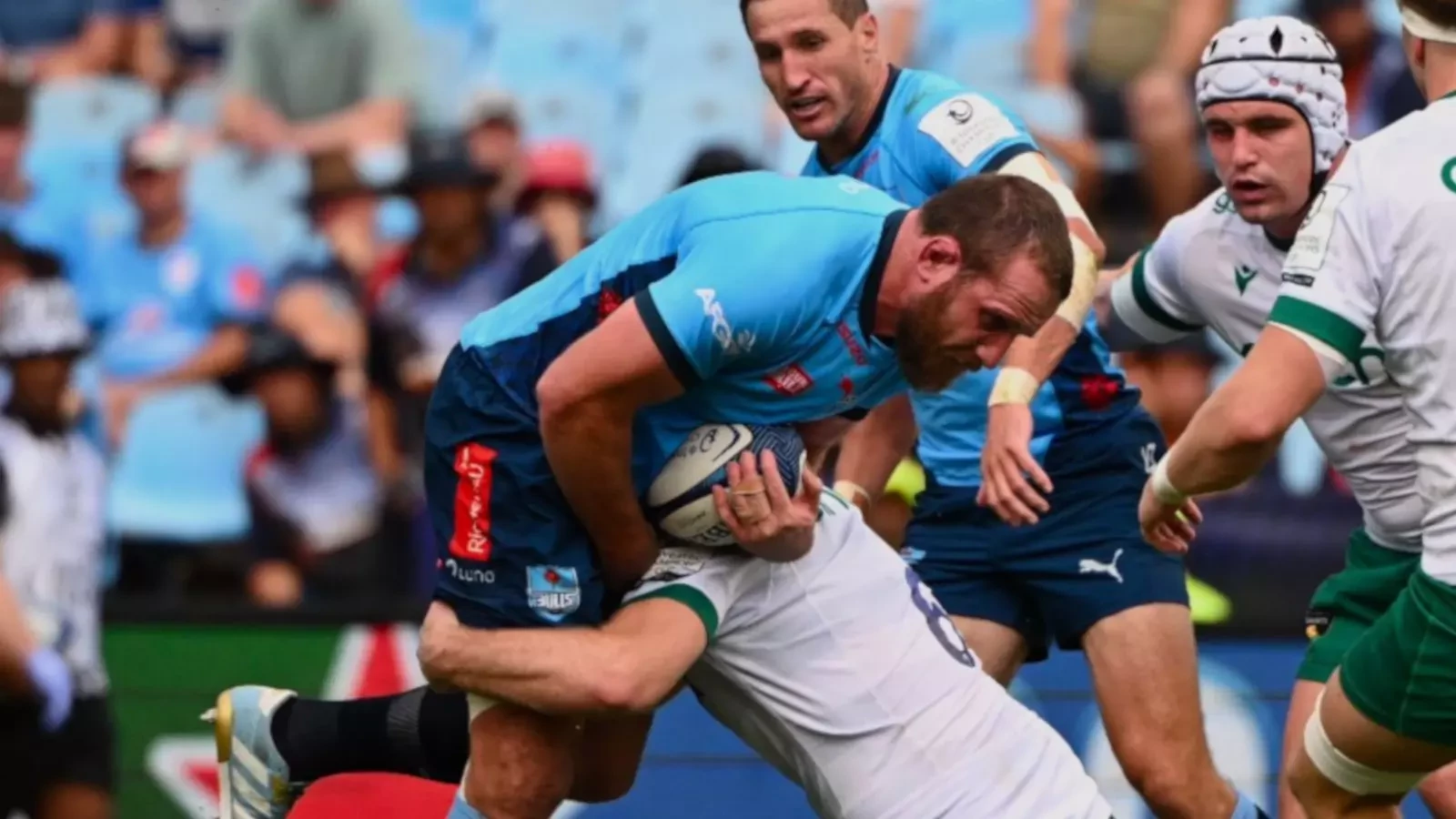 Champions Cup: Bulls suffer defeat at home after going down to ...