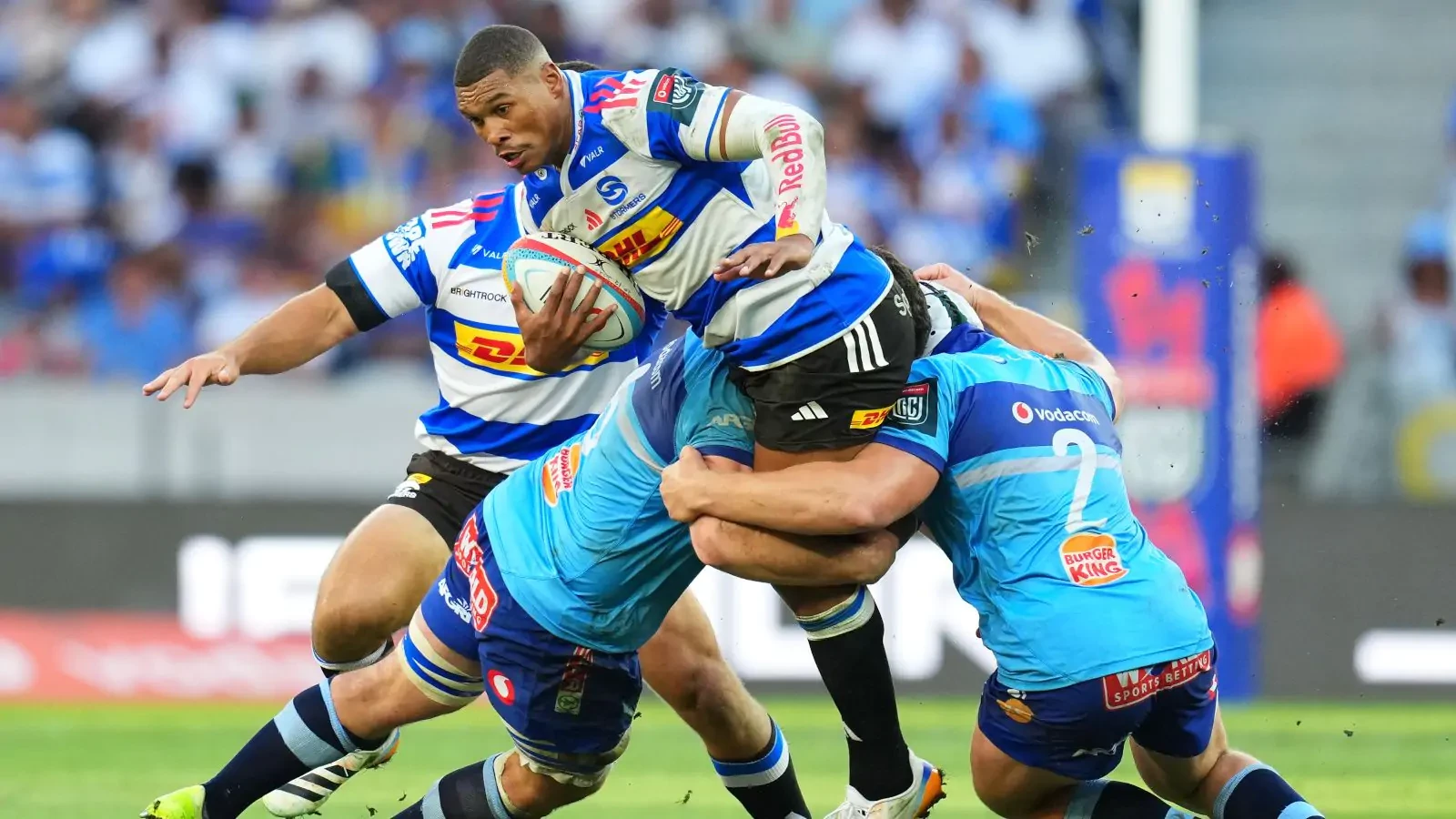 Springbok trio return to undefeated Stormers for Sharks URC derby | rugby