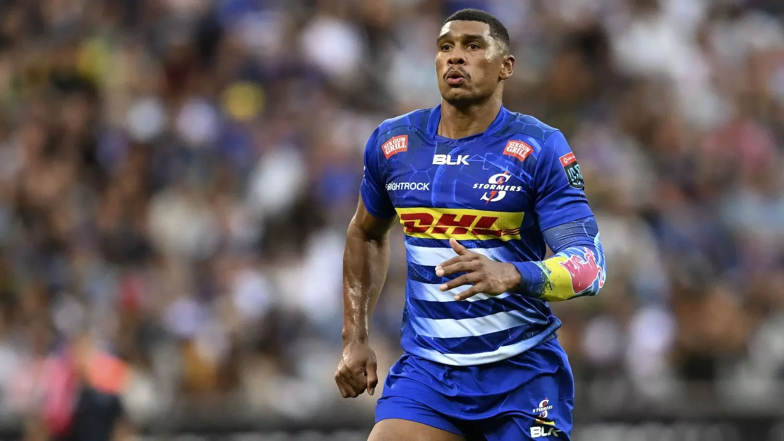 Stormers sweating on Damian Willemse red card ahead of URC playoffs | rugby