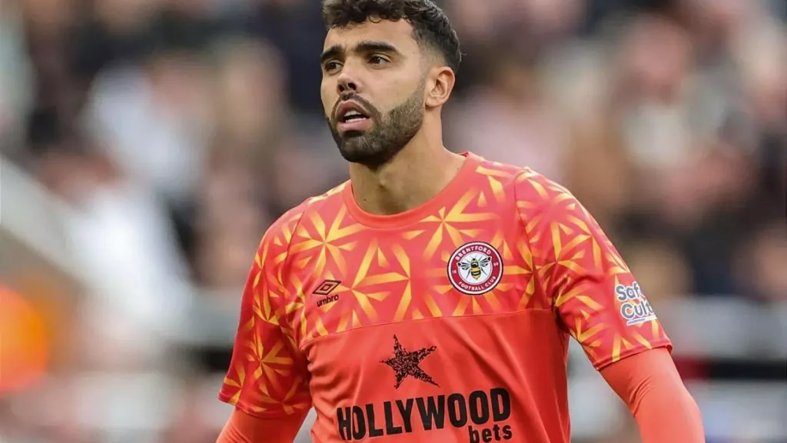 Arsenal sign Brentford goalkeeper David Raya on loan | soccer