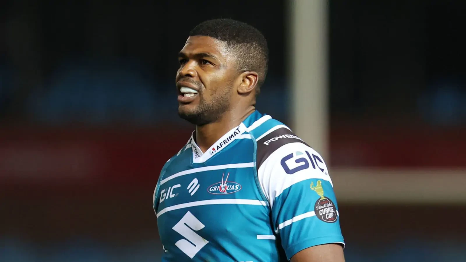 Stormers bring in Dylan Maart on loan as cover for injured Senatla | rugby