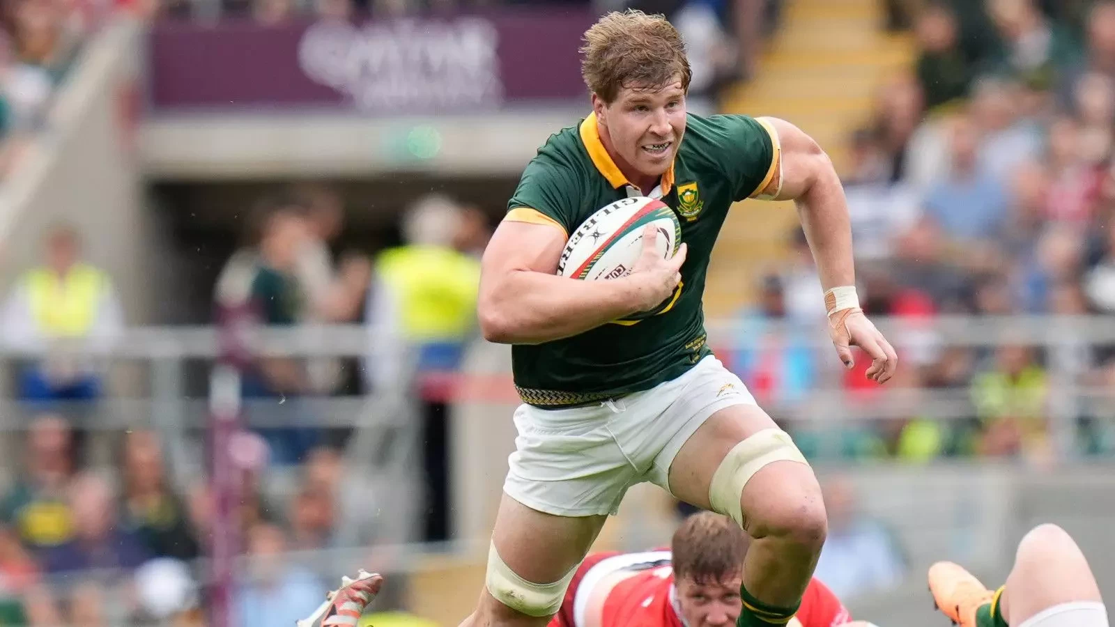 Evan Roos still part of Springboks' plans, says Rassie Erasmus | rugby