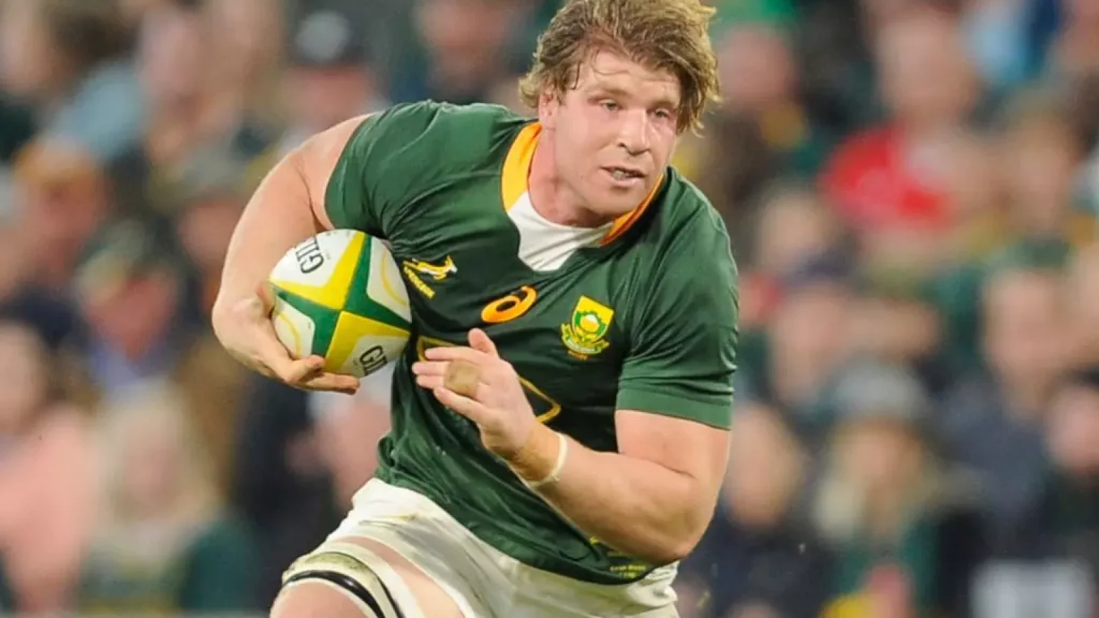 Roos the 'obvious' choice for Boks at No 8, says Stander | rugby