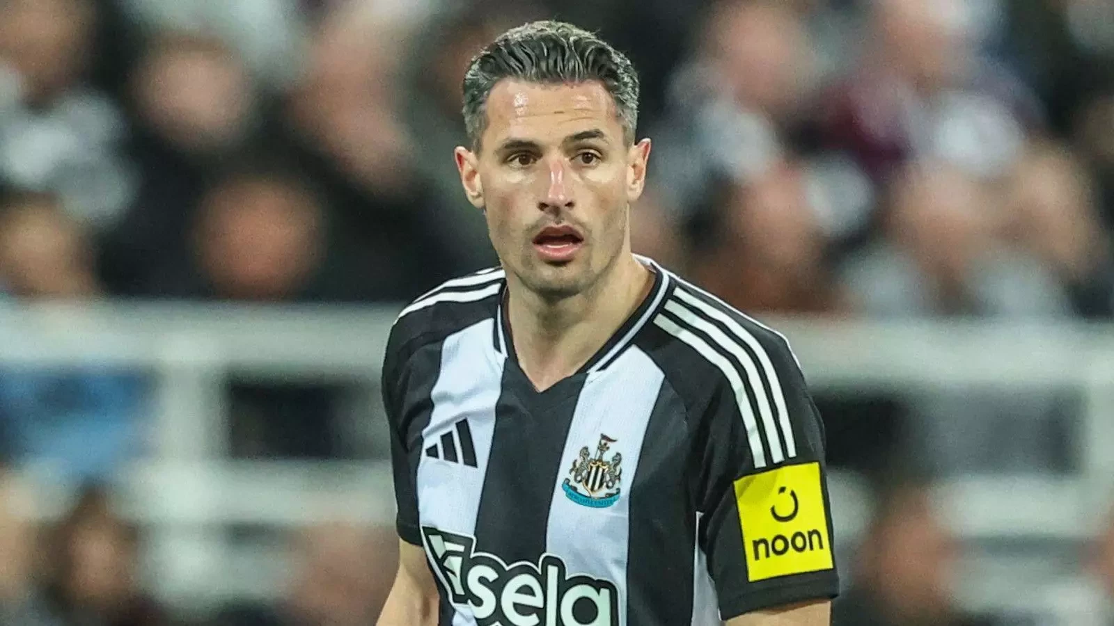 Fabian Schar: Newcastle not satisfied with performance against ...