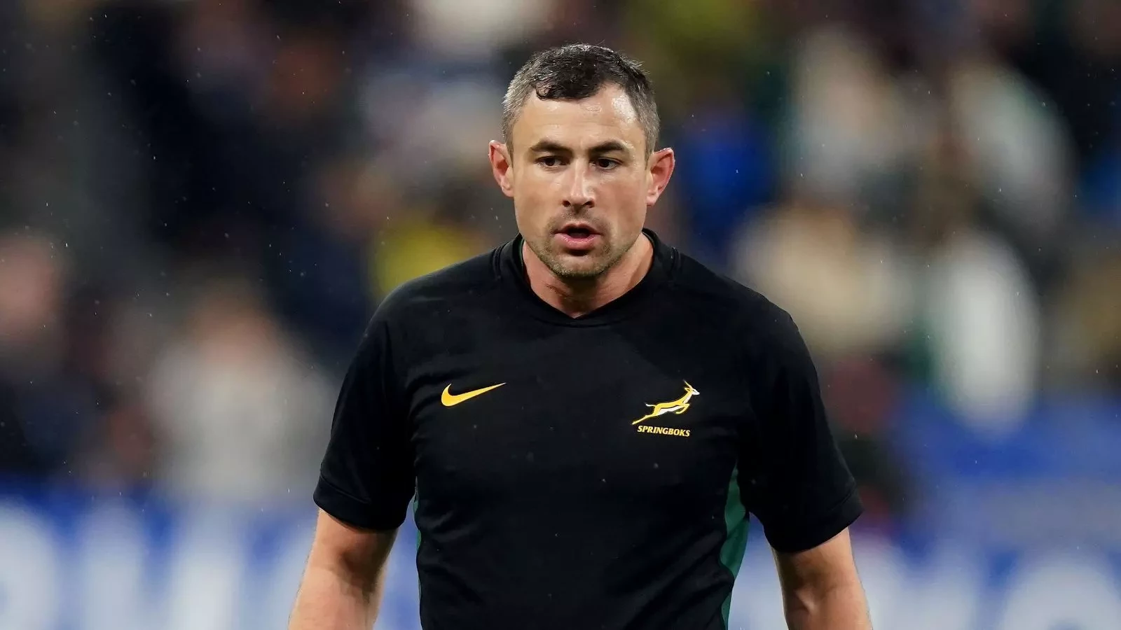 Bok boss Rassie Erasmus clarifies Felix Jones' role in SA Rugby | rugby