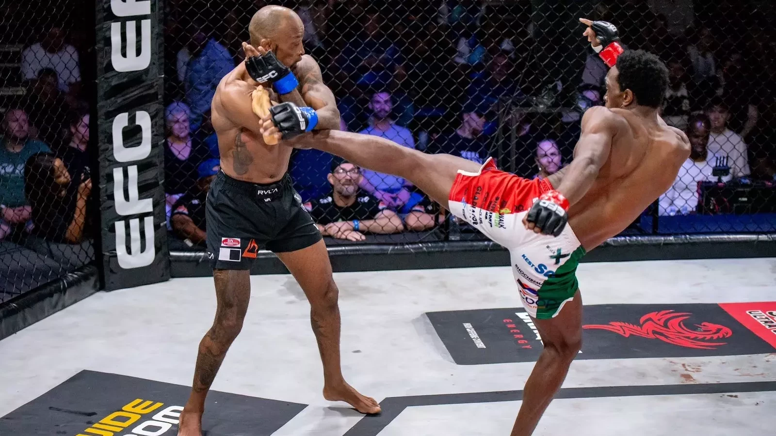 Return of veterans the highlight for EFC president in 2023 review | SABC