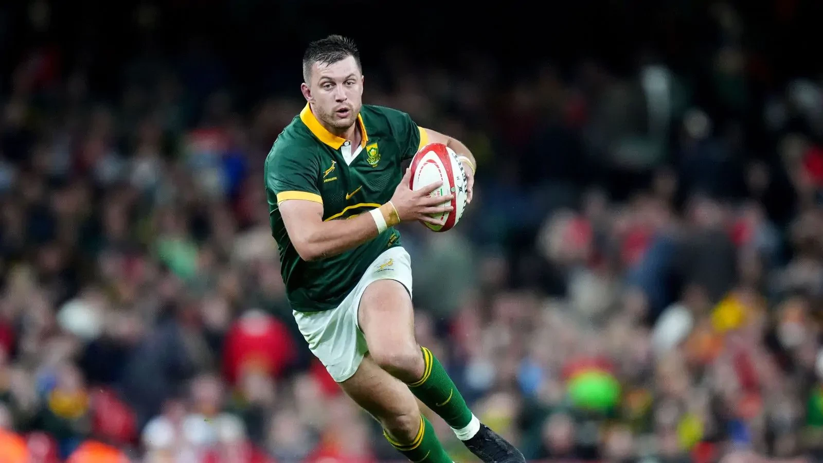 Victor Matfield backs Springbok flyhalf depth after Sacha Feinberg ...
