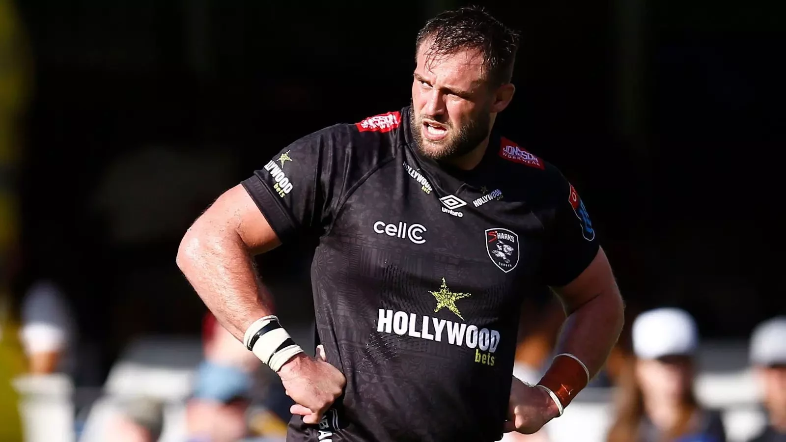 Sharks' Leinster import previews URC clash with Irish giants | rugby