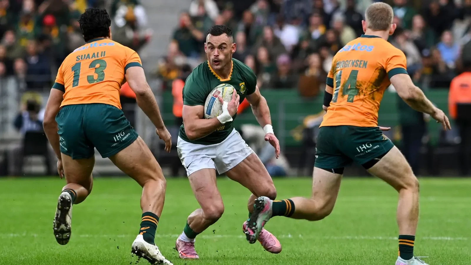 Jesse Kriel and Grant Williams eager to pluck Brave Blossoms | rugby