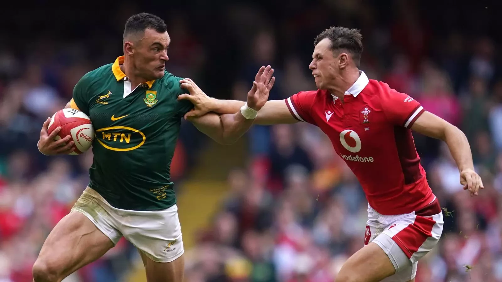 Springboks to launch season against Wales at Twickenham | rugby