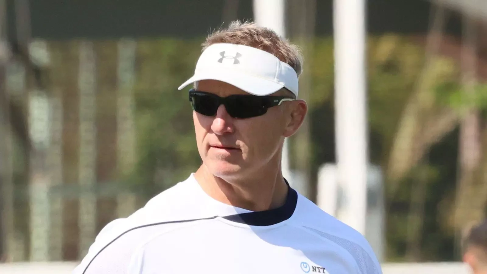 Bulls confirm Johan Ackermann as new head coach | rugby