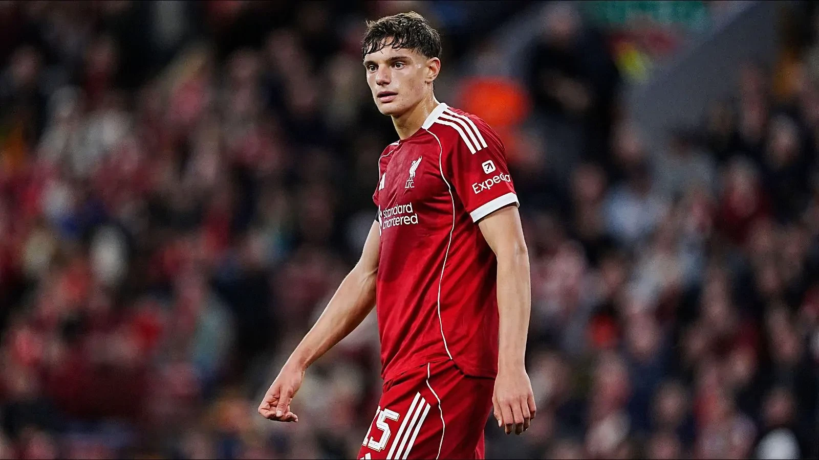 Liverpool boss Arne Slot confirms defender Giovanni Leoni sidelined for ...