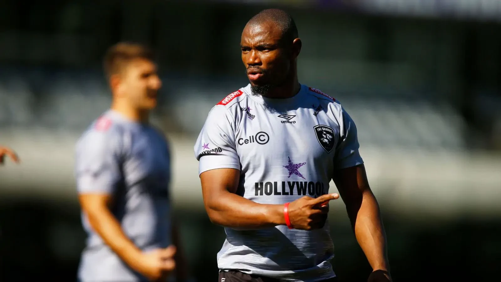 Springbok, Sharks wing Makazole Mapimpi hit with five-match ban | rugby