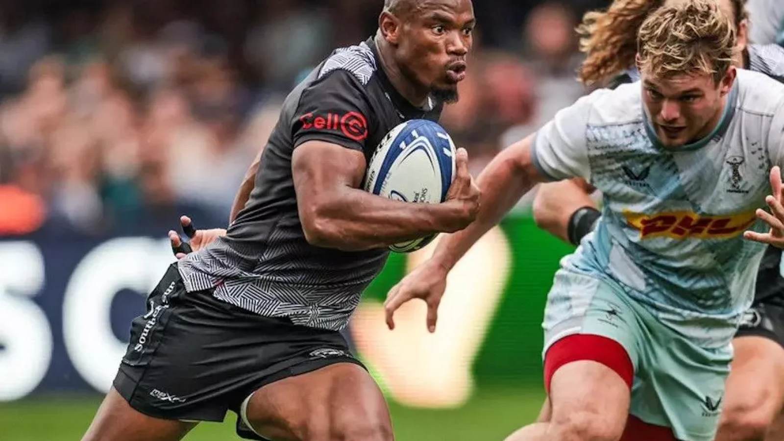 Powell hails Sharks' positive result in Champions Cup | rugby