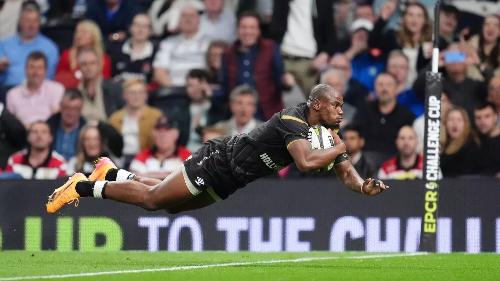 Springbok winger Makazole Mapimpi extends Sharks stay | rugby