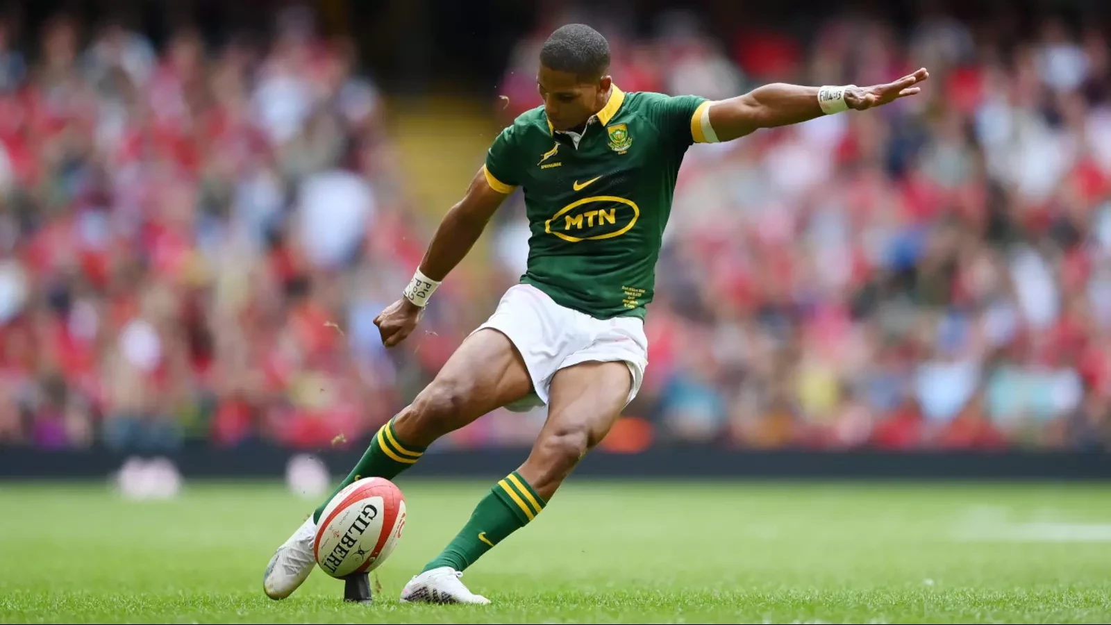 Five Bok newcomers ready to make a splash at the Rugby World Cup | rugby