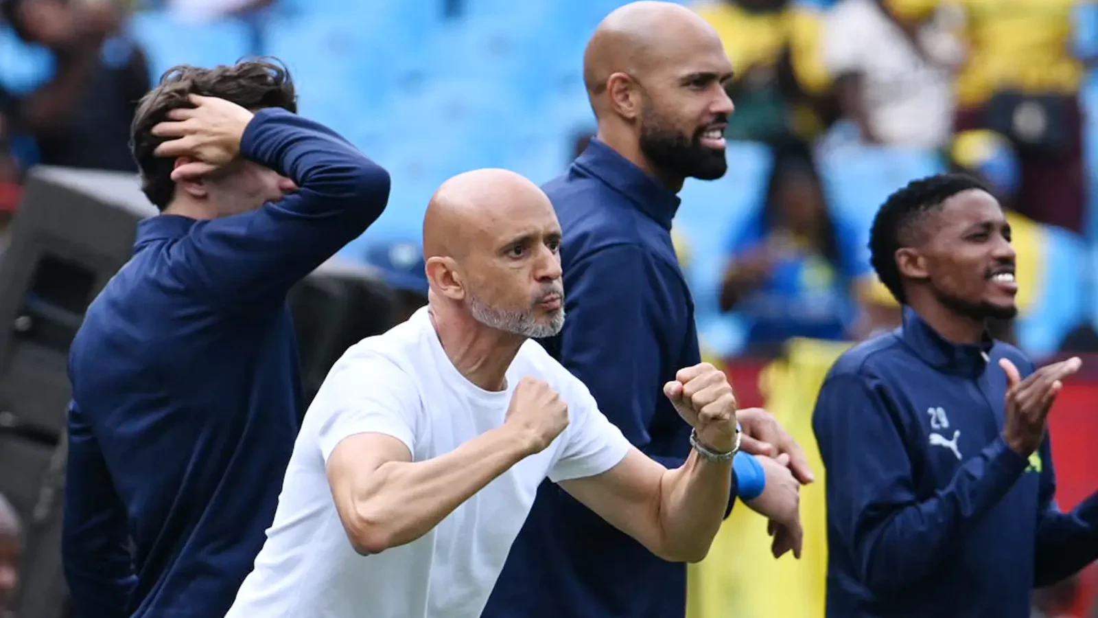 Miguel Cardoso welcomes Sundowns chairman vote of confidence | soccer
