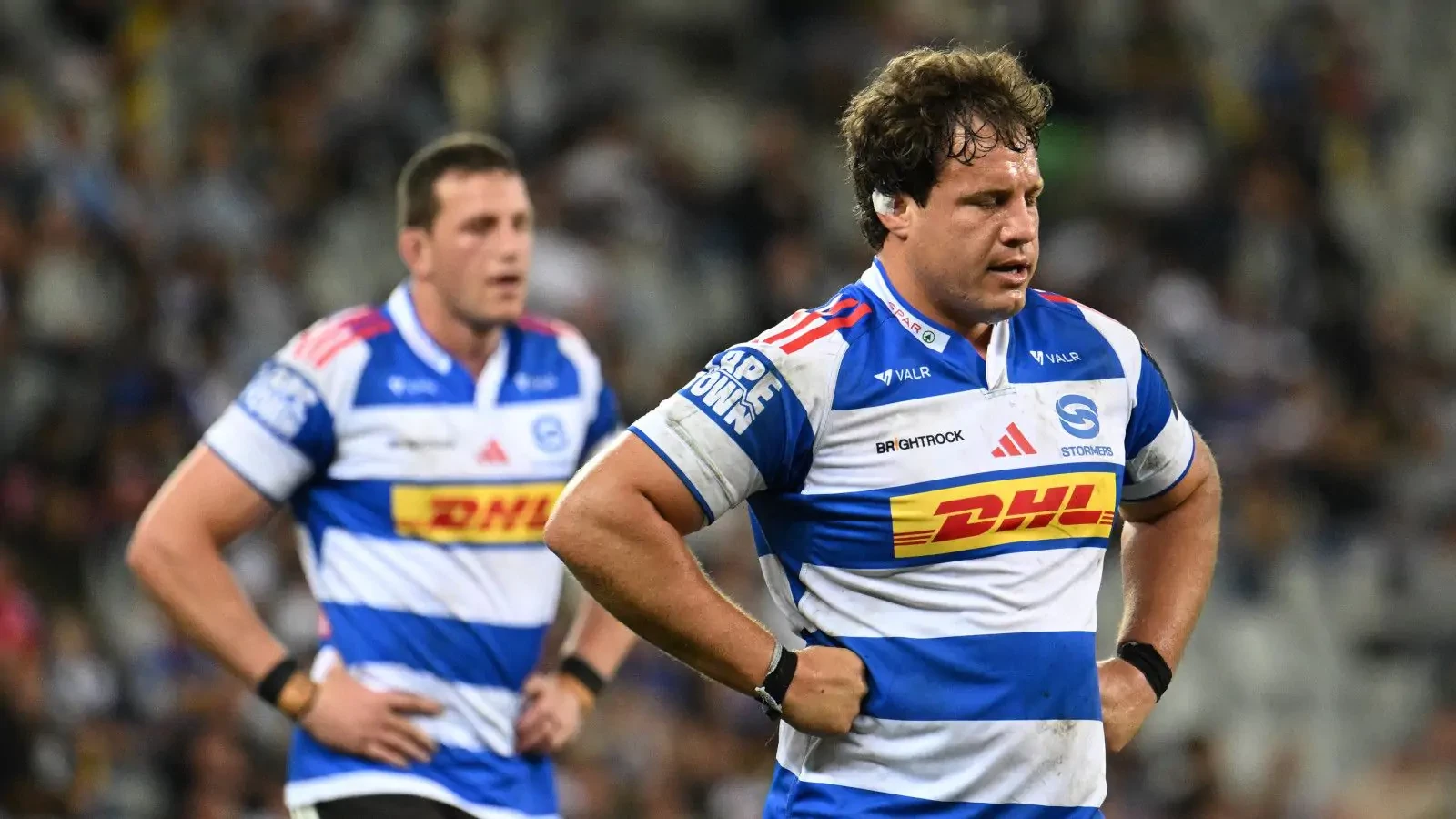 Stormers scrambling in the wake of Neethling Fouche's serious injury ...