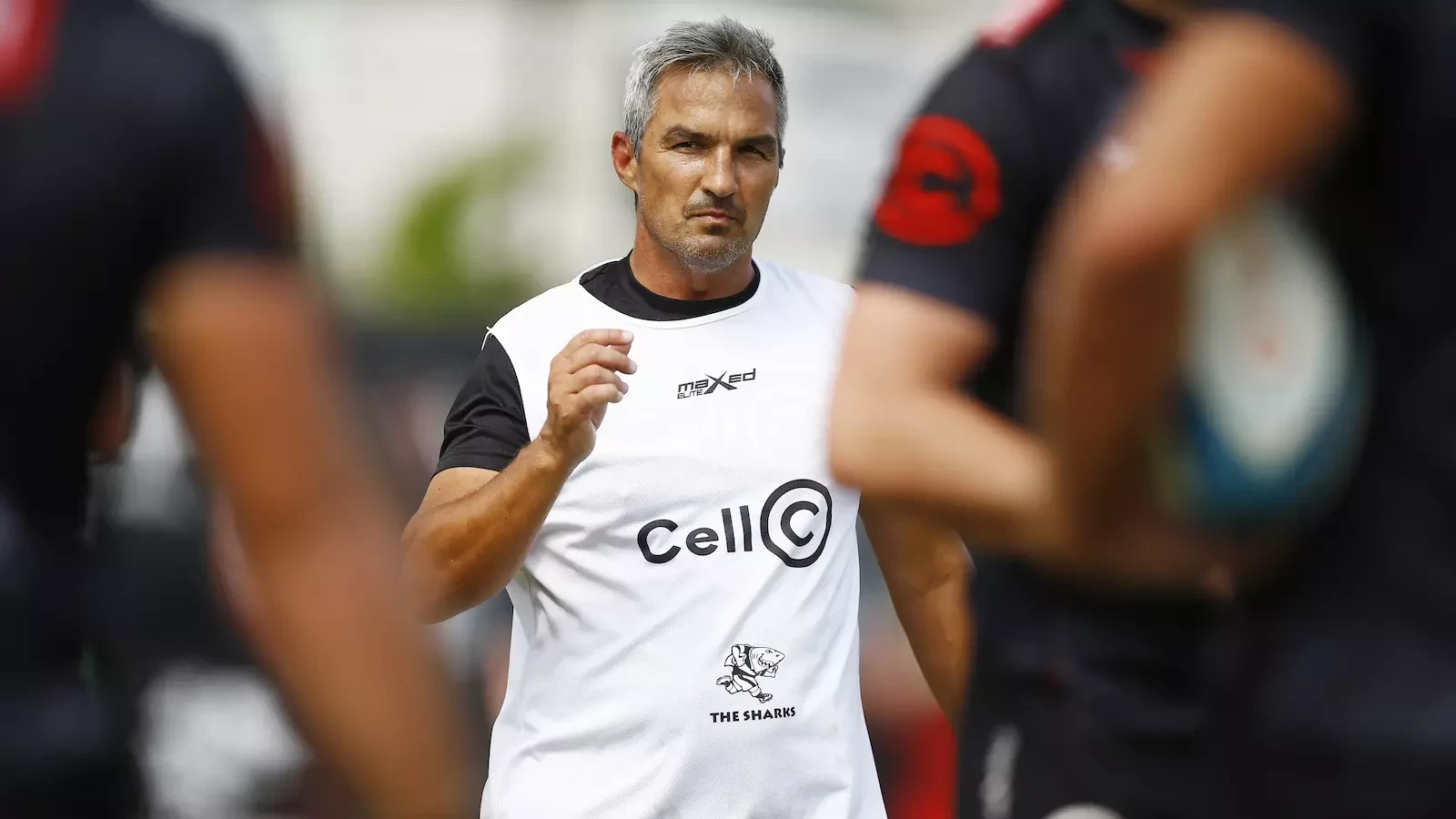 Neil Powell eyes URC title to define first Sharks season | rugby