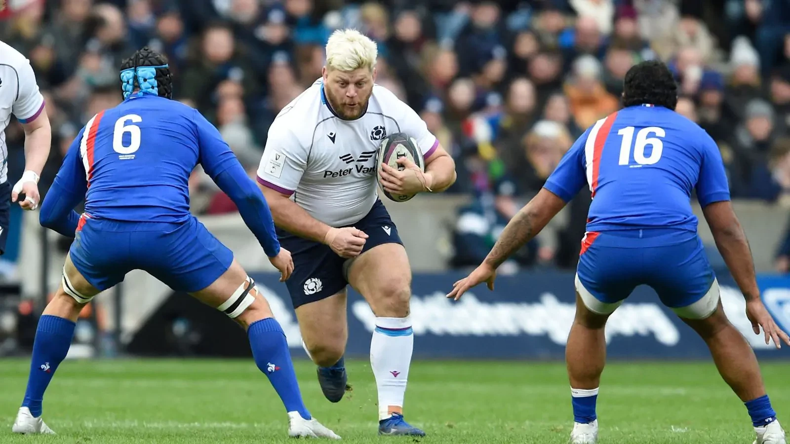 Stormers scoop Scotland international and other front row assets | rugby