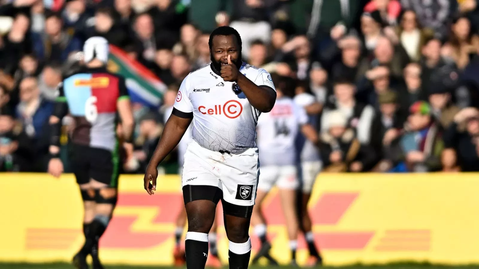 John Plumtree talks of a new dawn rising at the Sharks | rugby