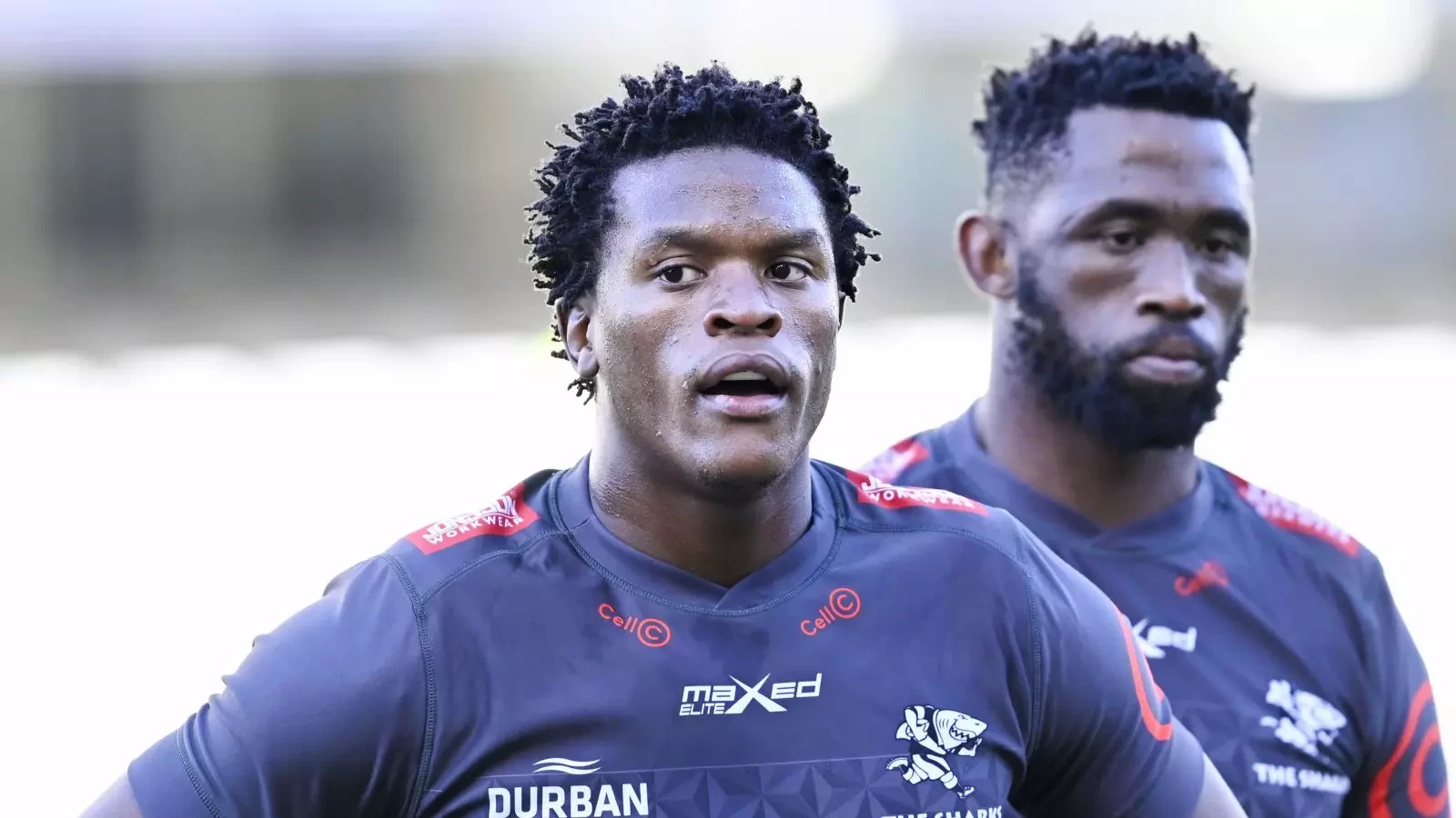 Phepsi Buthelezi previews Sharks' Champions Cup clash in France | rugby