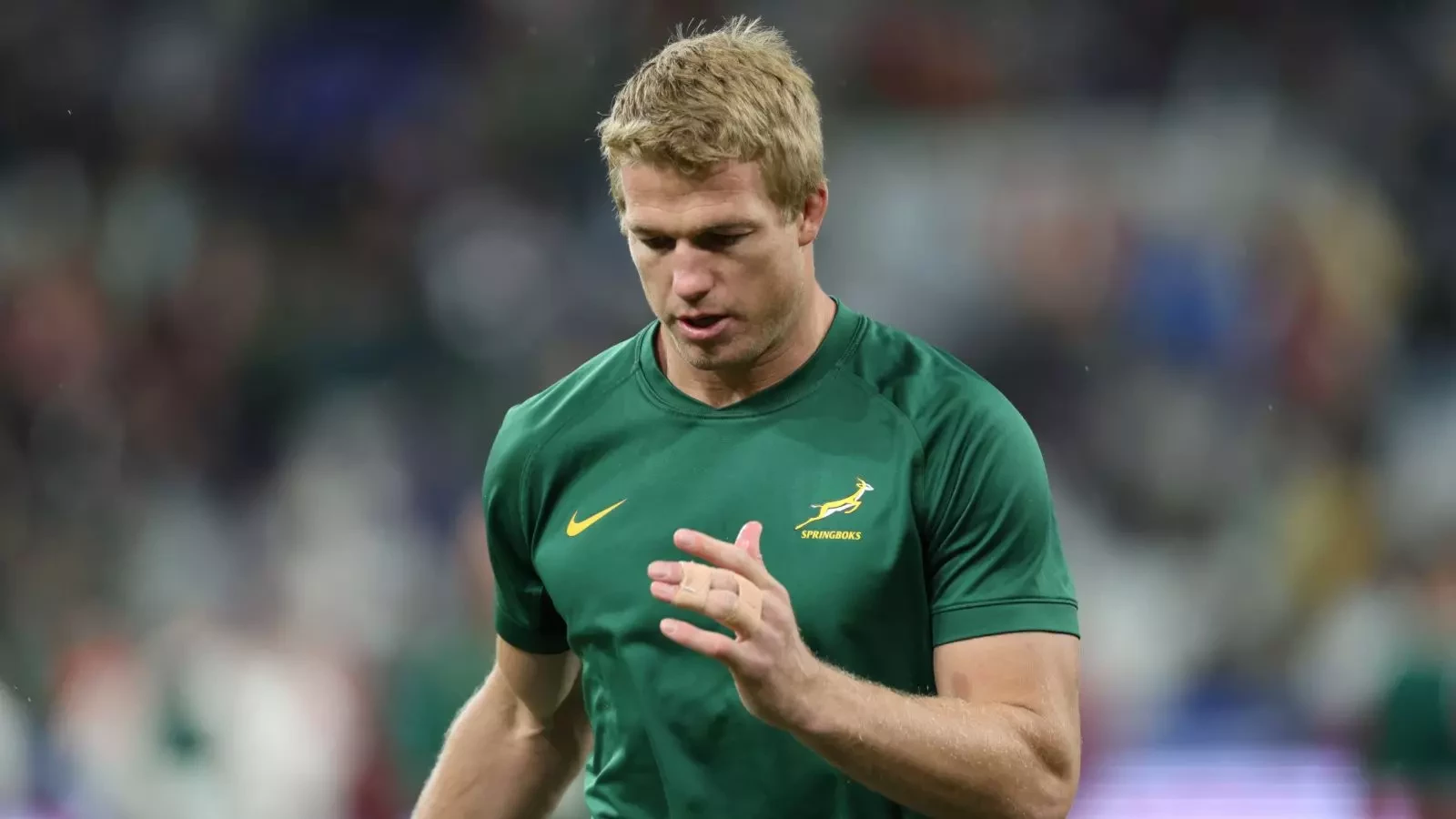 PSdT reveals why Japan is an attractive destination for so many ...