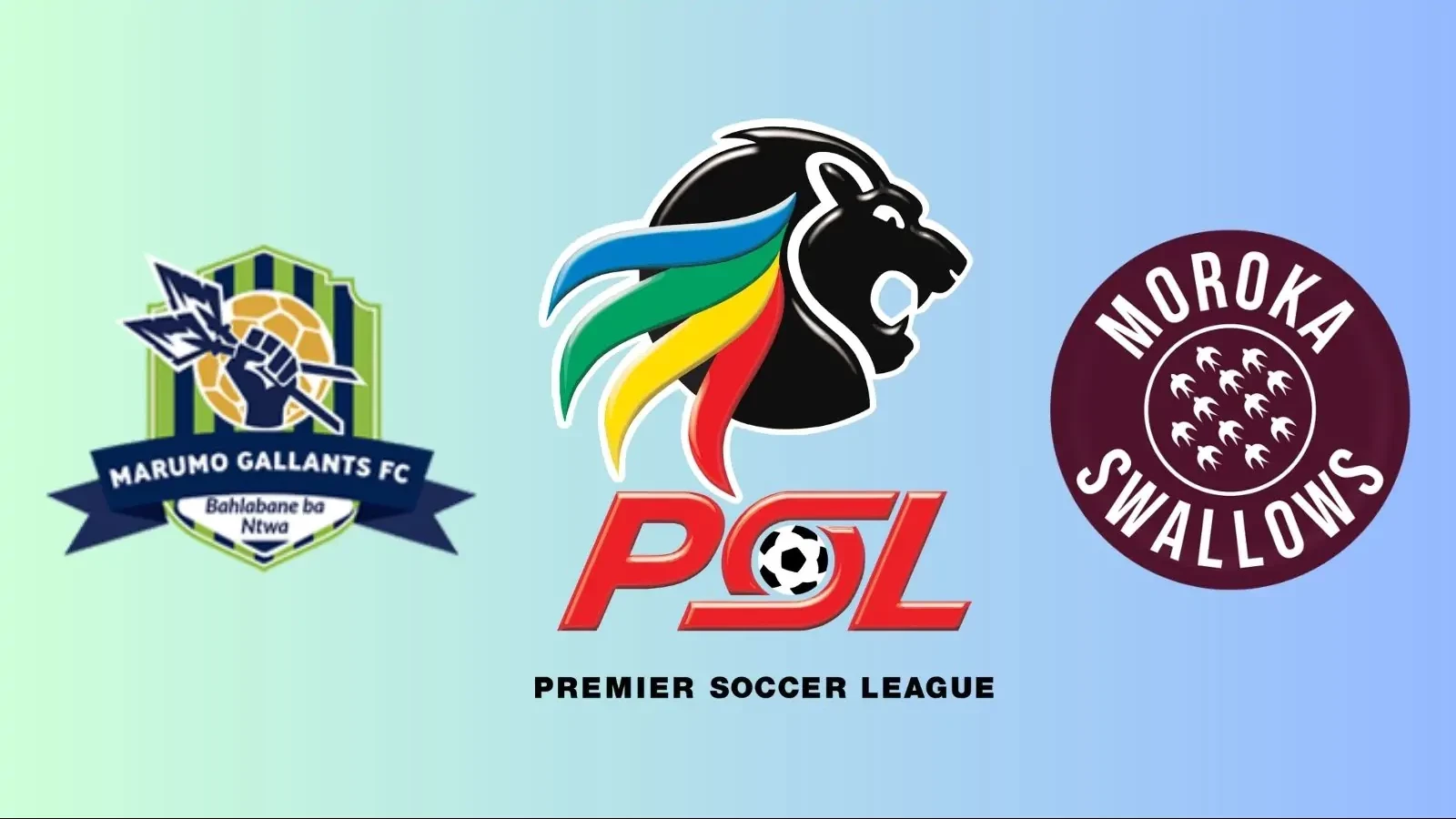 PSL respond to Swallows-Gallants status saga | soccer
