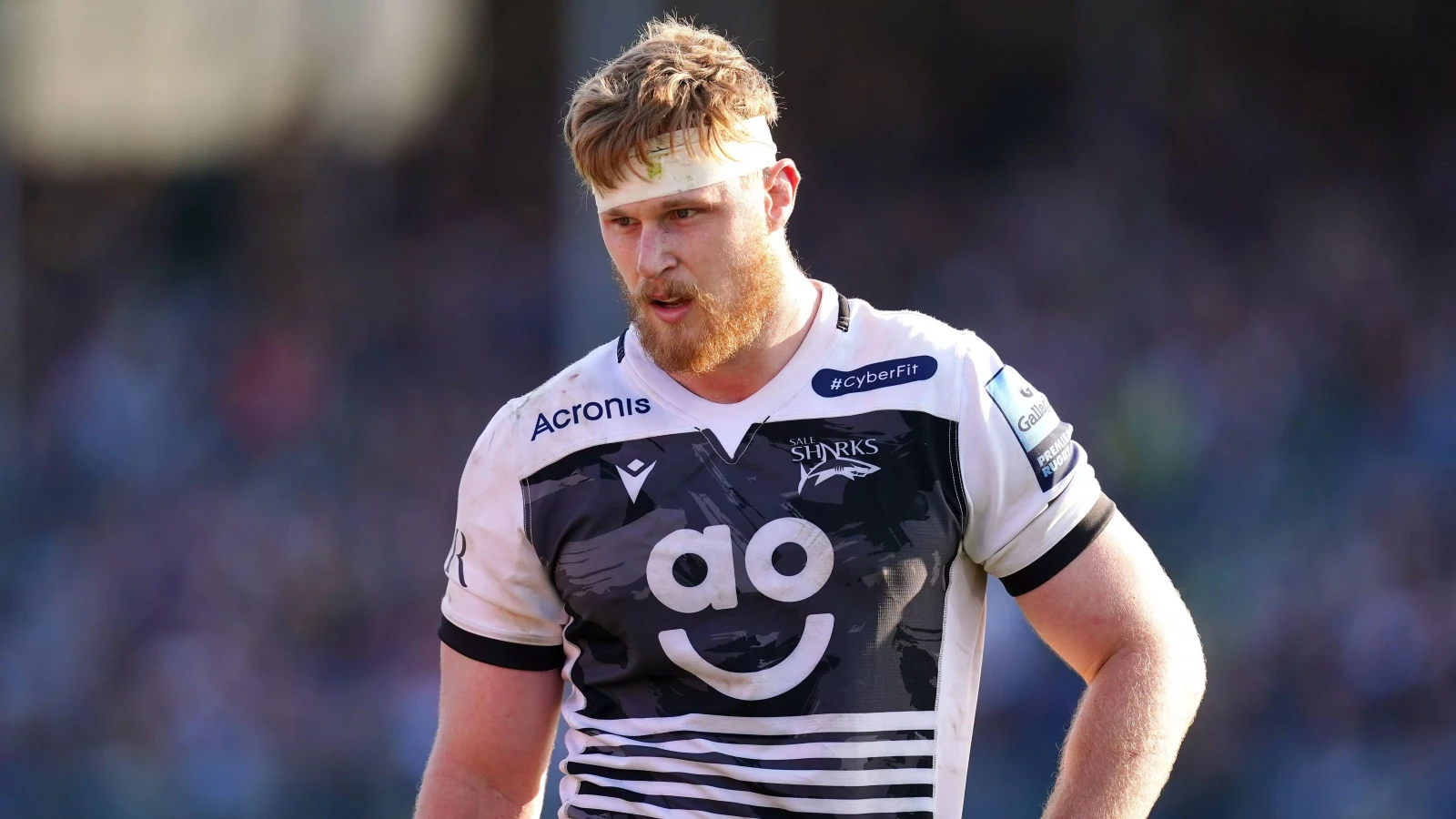 Bok twins extend Sale Sharks contracts | rugby