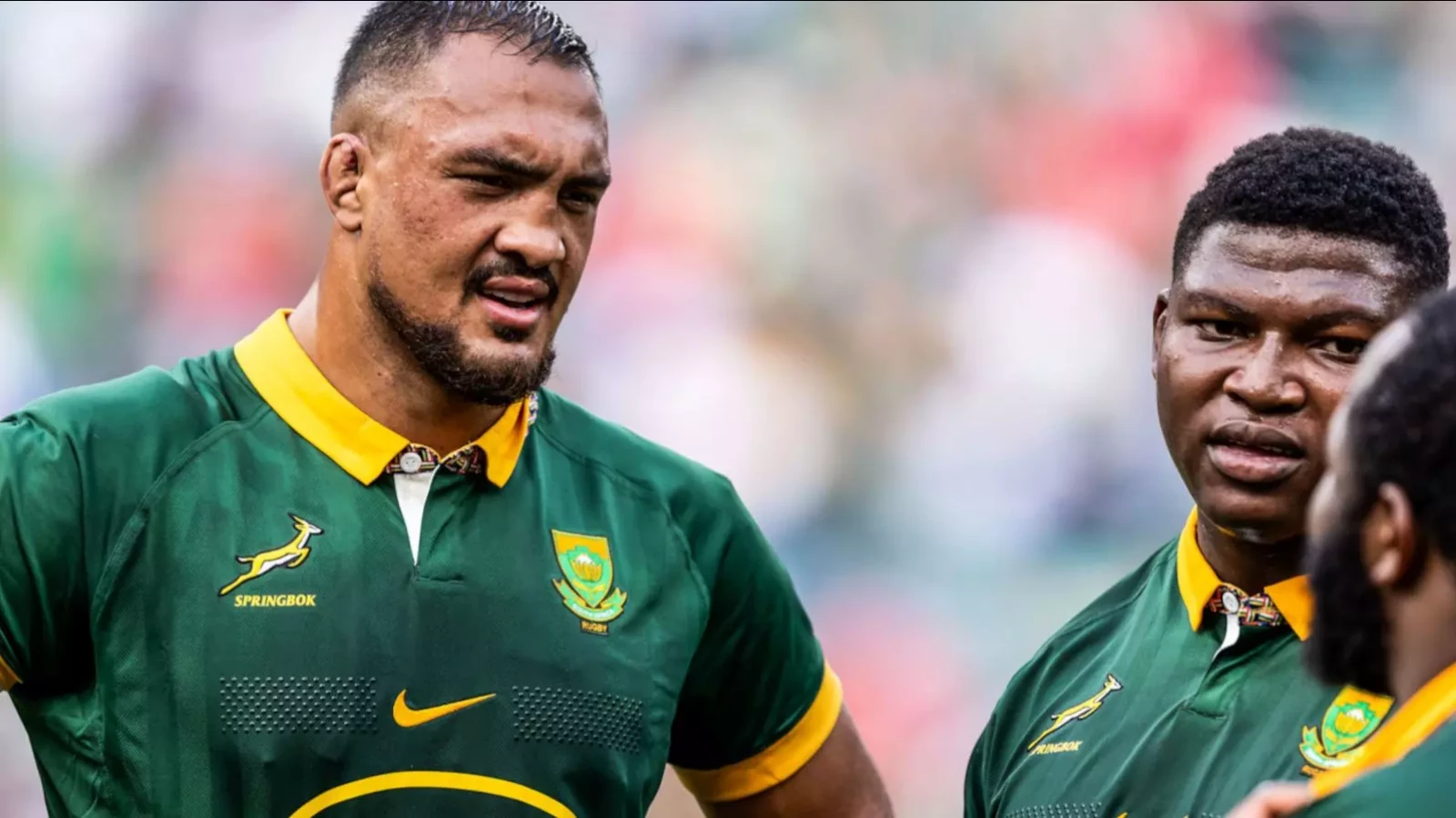 'He does the hard work': Nick Mallett on Salmaan Moerat's value to Bok ...