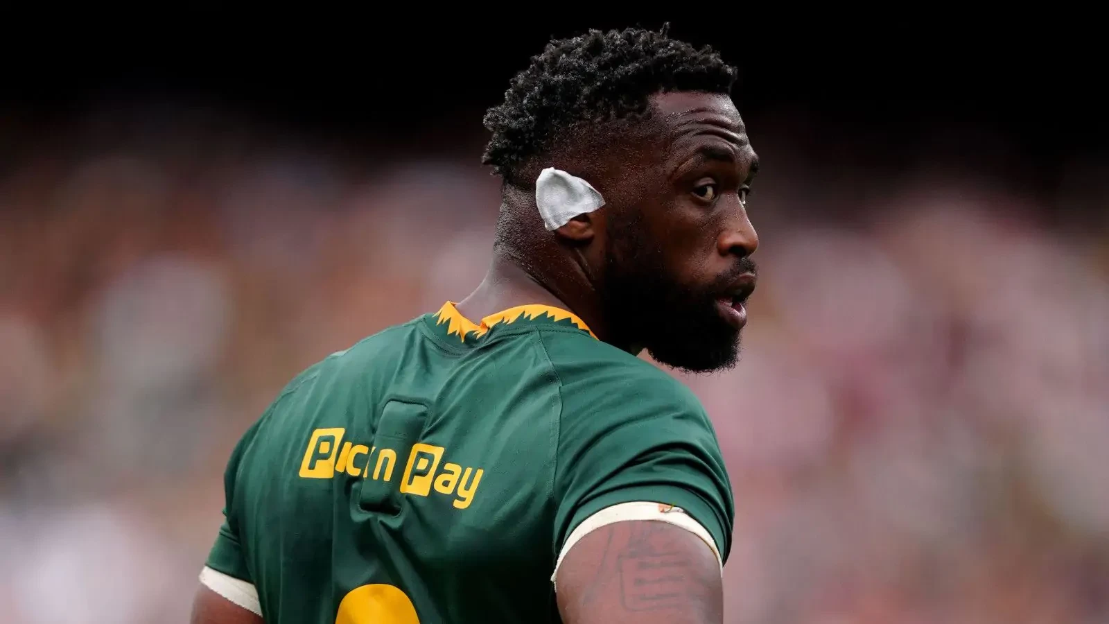Super Springboks congratulated for stellar 2025 season | rugby