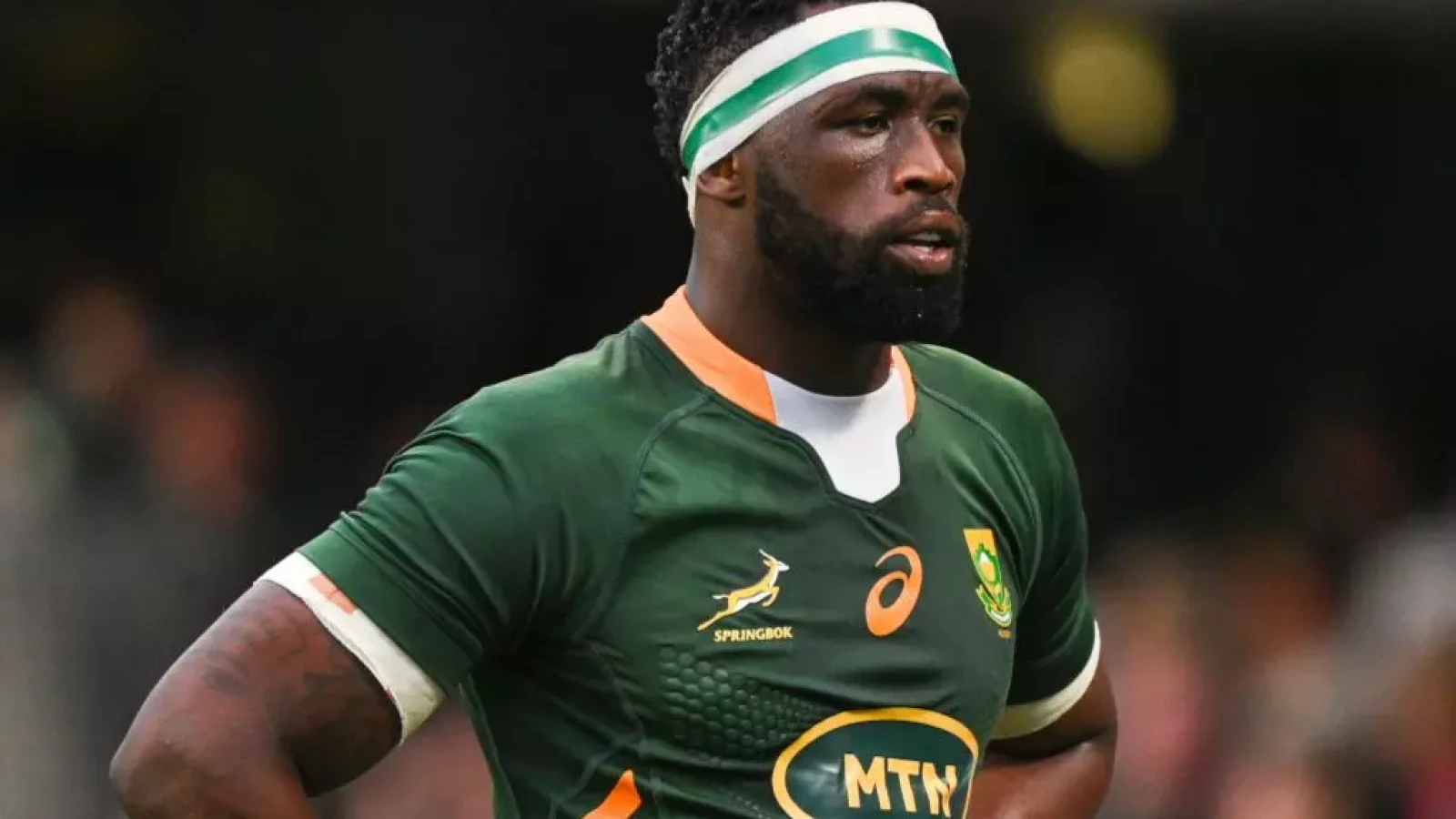 Springbok coach Jacques Nienaber backs Siya Kolisi to be fit in time ...