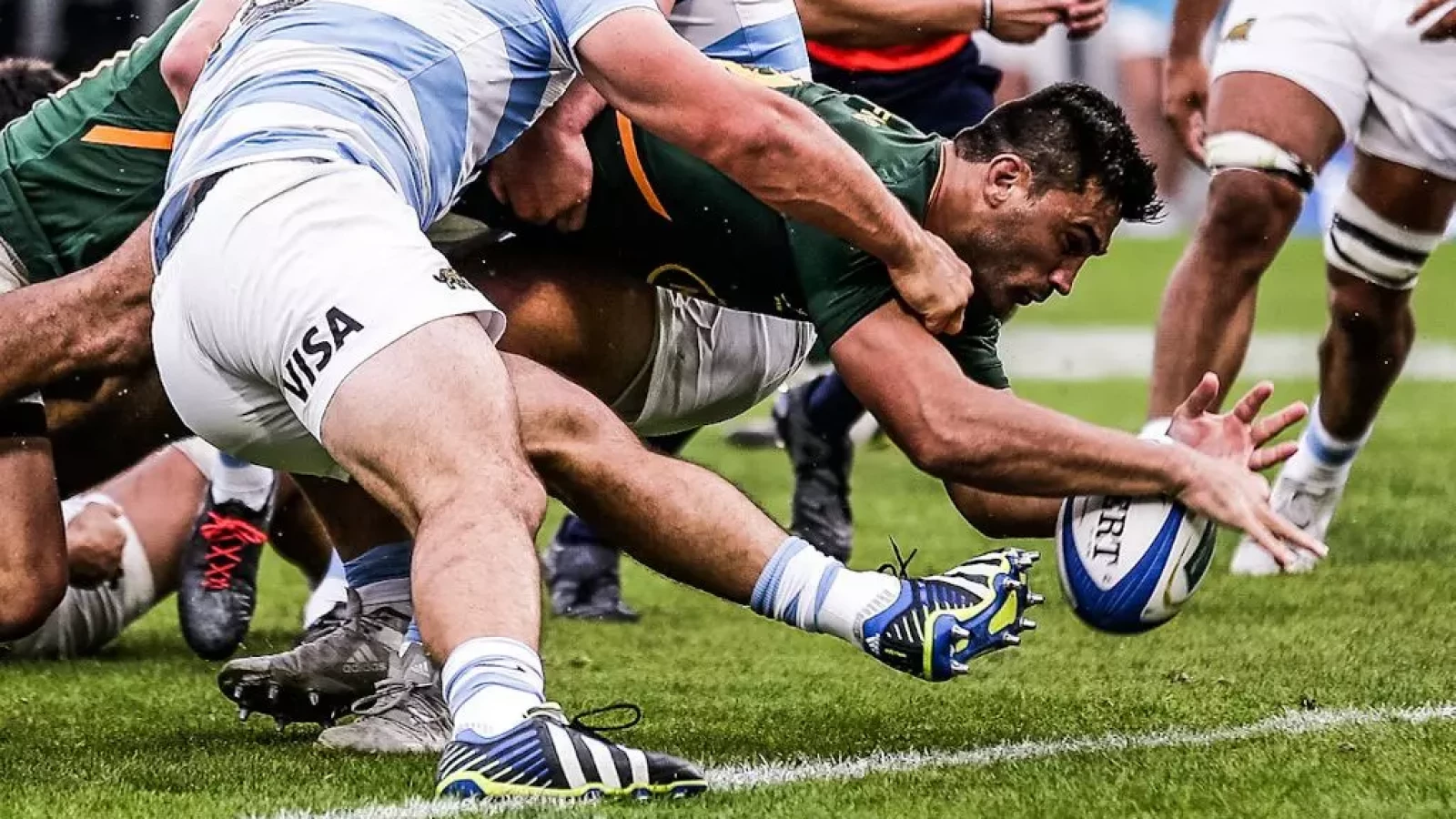 Springboks set to face Argentina in RWC warm-up clash | rugby