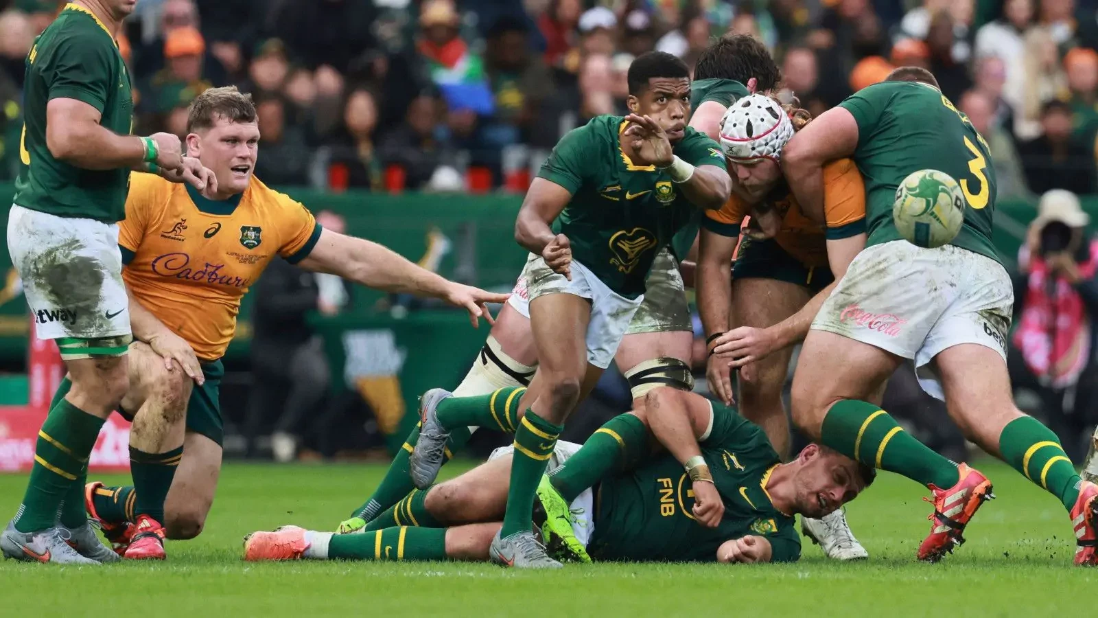 Late Etzebeth try seals gutsy Springbok victory over tenacious ...